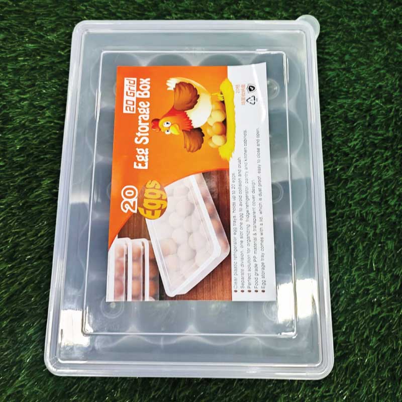 20 Grid Egg Box – Graphics Art Point