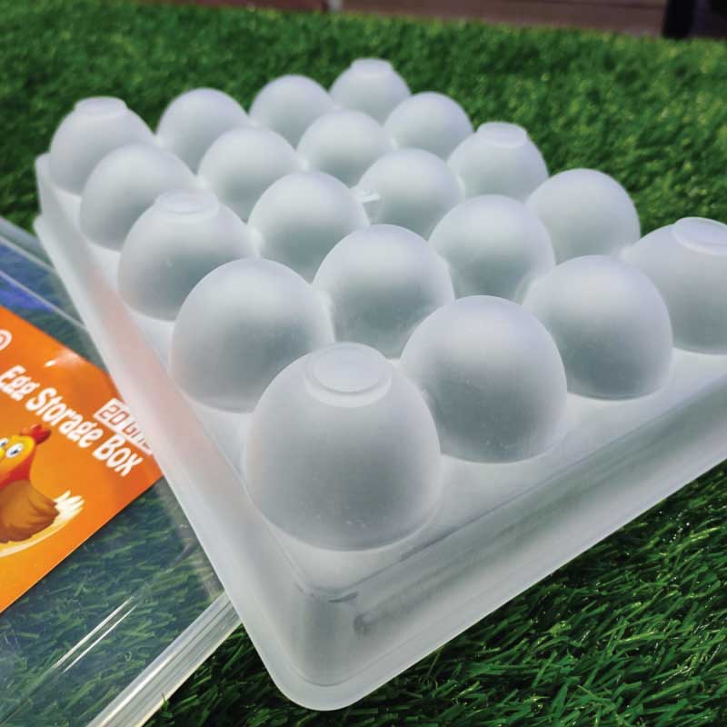20 Grid Egg Box – Graphics Art Point